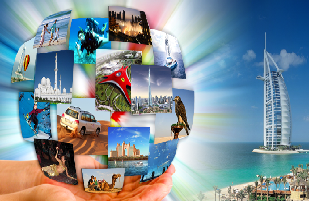 Smart Markhor Typing & Travels