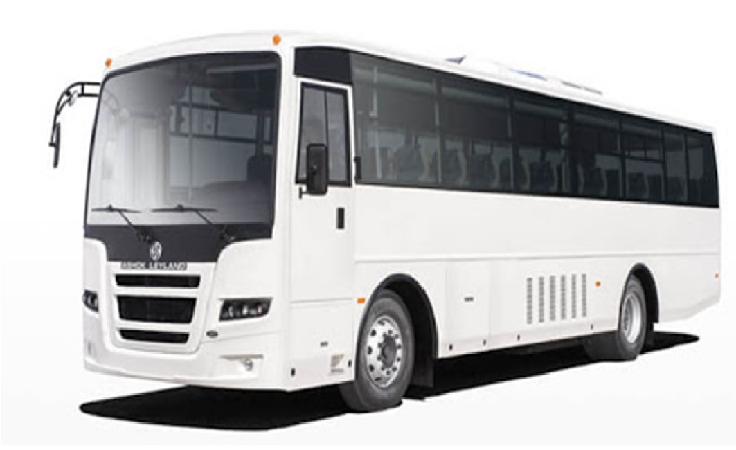 Sea Bird Passengers Transportation Via Buses