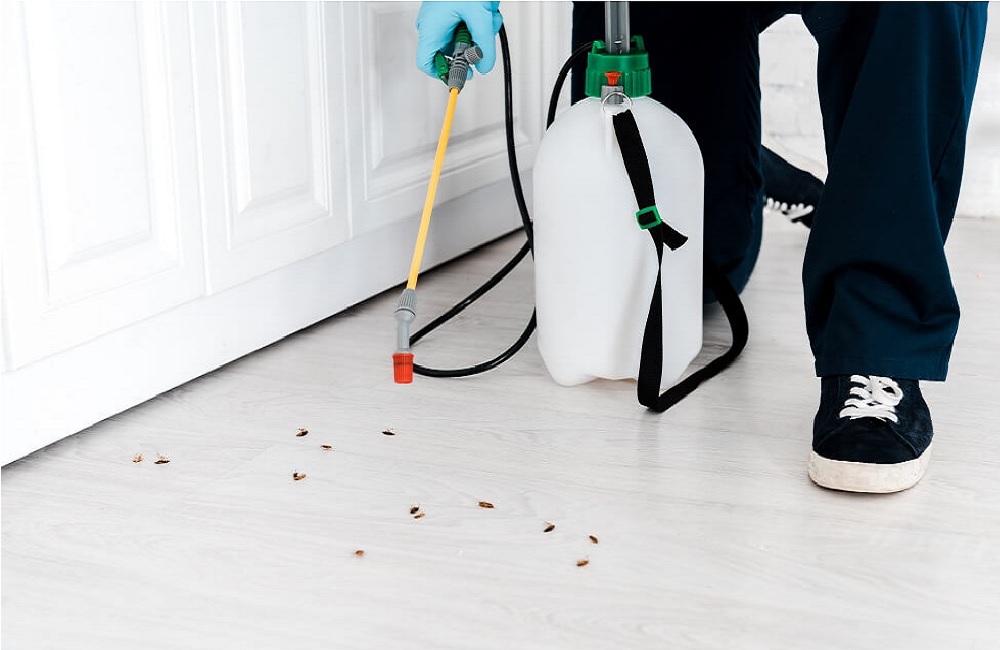 Sebo Pest Control Sole Proprietorship L.L.C