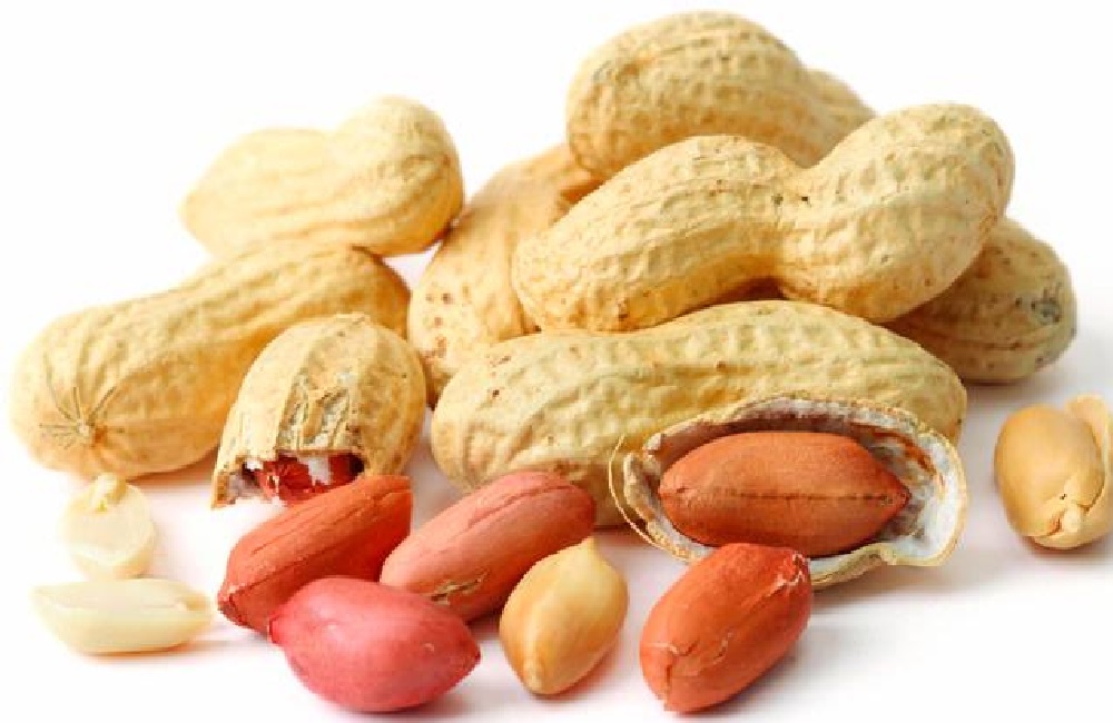 301 Moved Permanently