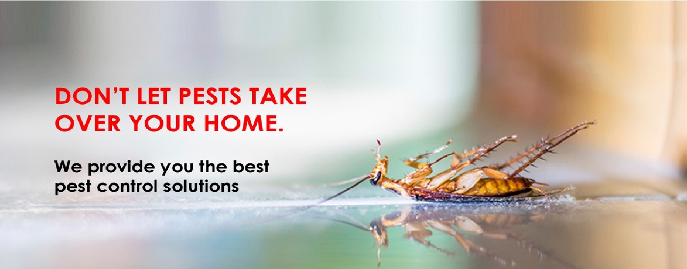 Sebo Pest Control Sole Proprietorship L.L.C