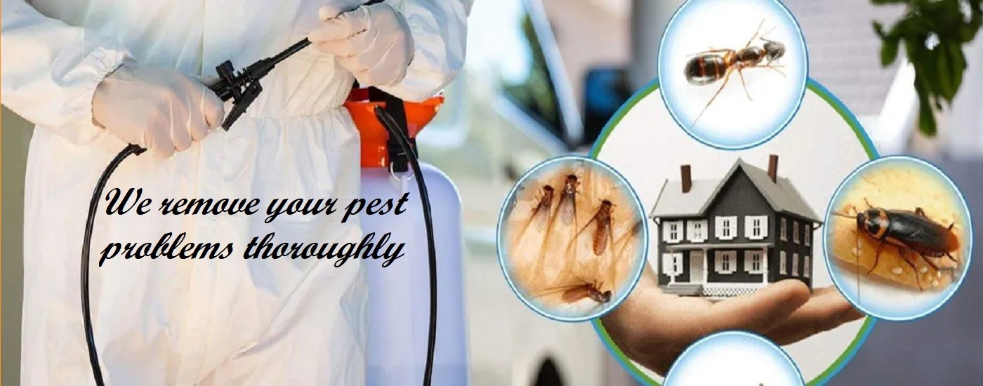 Sebo Pest Control Sole Proprietorship L.L.C