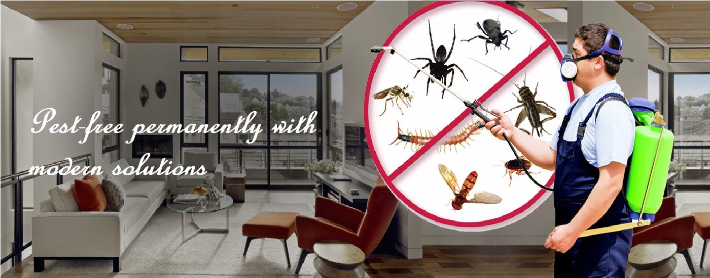 Sebo Pest Control Sole Proprietorship L.L.C